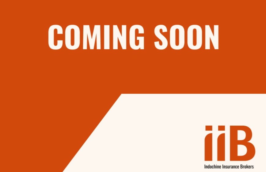 IIB - Indochine Insurance Brokers